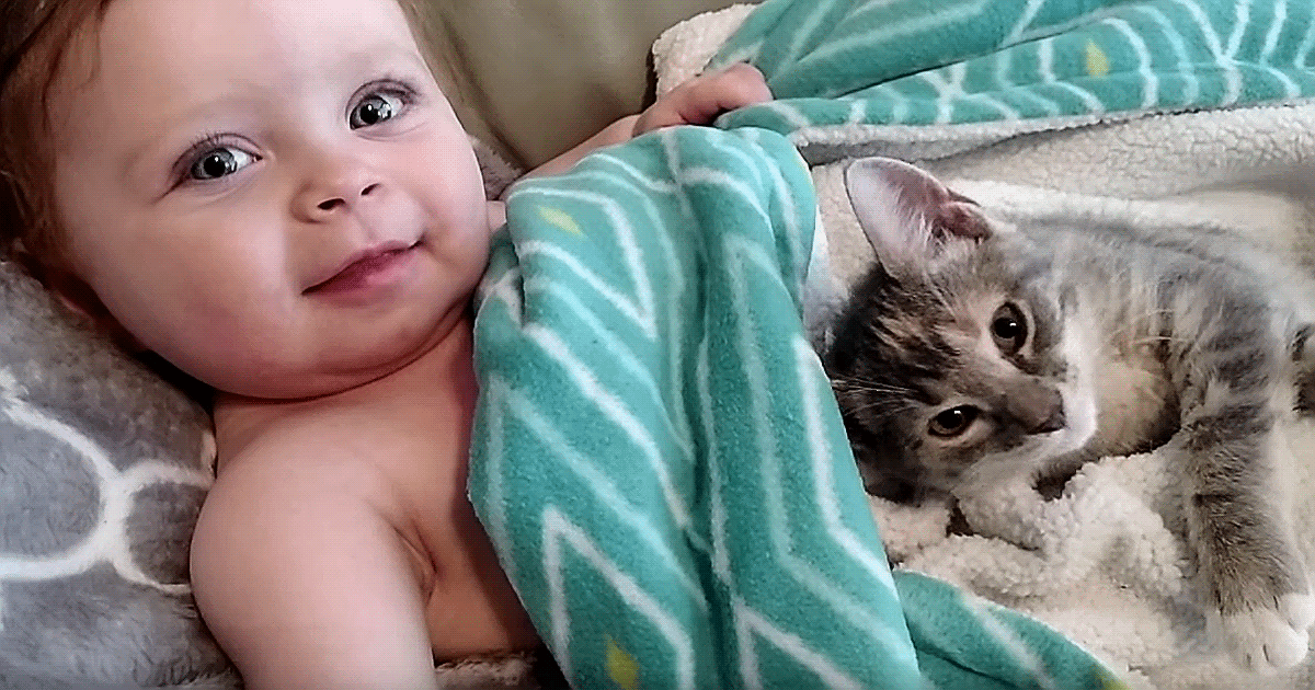 Mama îl învelise în timp ce dormea, dar când micuţul se trezeşte? Ce ...