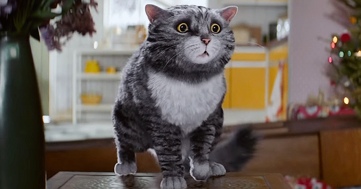 Acest motan pare neliniştit, însă are şi de ce. Priviţi în ce bucluc a ...