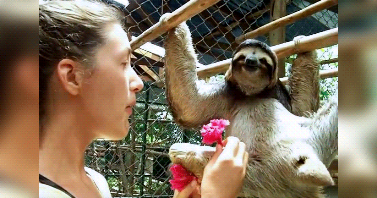 Leneşul refuză floarea oferită de această tânără, dar staţi să vedeţi ...
